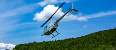 Helicopter Cruising in Japan | AIROS Skyview